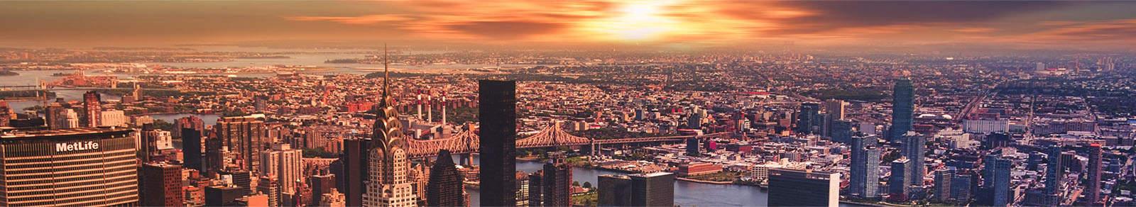 What is a Management Representative?